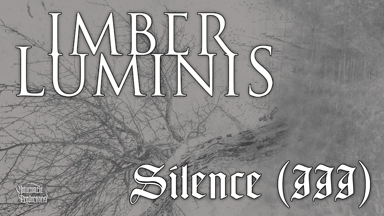 Imber Luminis : nouvel album annoncé - Valkyries Webzine